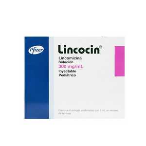 Lincocin pediátrico 300mg/ml caja con 6 jeringas de 1ml solución ...