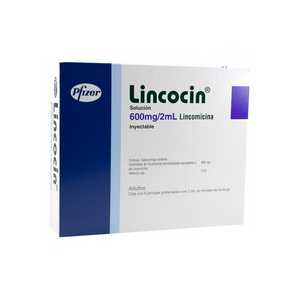 Lincocin adulto 600mg/2ml caja con 6 jeringas de 2ml solución ...