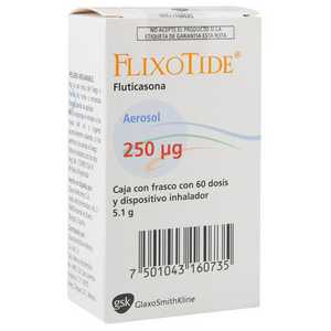 Flixotide 250ug caja 1 frasco 60 dosis | Vitau