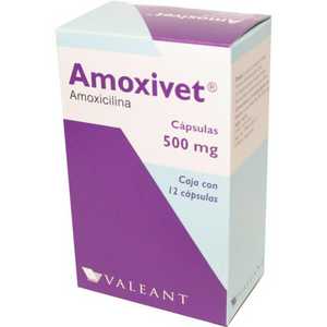 Amoxivet 500mg caja con 12 cápsulas | Mejor Precio