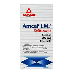 Amcef Im 500mg caja 1 frasco ámpula 2ml solución inyectable | Vitau