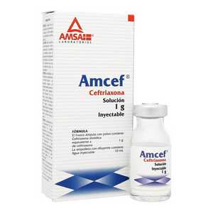 Amcef 1g caja con 1 frasco ámpula de 10ml solución inyectable | Vitau