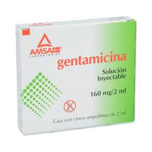 Gentamicina 160mg / 2ml caja 5 ampolletas 2ml | Mejor Precio en Vitau